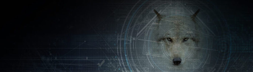 SOCaaS Provider Arctic Wolf Networks Adds Log Search to MDR Service ...