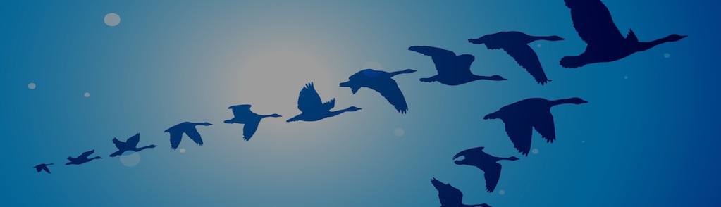 How to Align Your Sales & Marketing Teams for Growth - | ChannelE2E