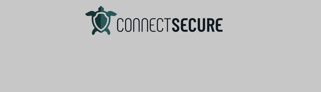 Peter Bellini Named CEO of Vulnerability Management Firm ConnectSecure ...