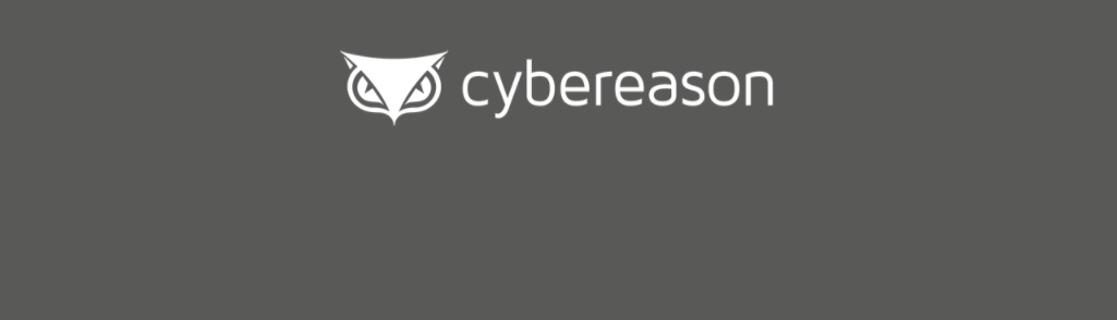 Cybereason IPO Details: MDR, XDR Cybersecurity Company's Emerging Plan ...