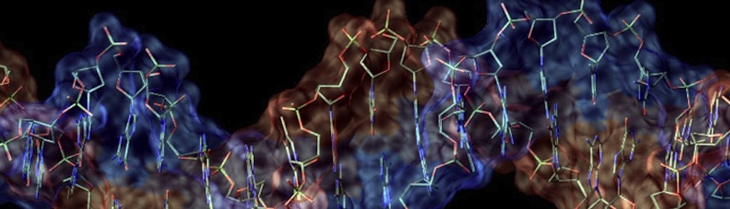 Cisco's New DNA: Digital Network Architecture Explained - | ChannelE2E