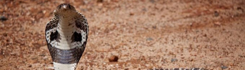 DHS, FBI Issue Joanap and Brambul Malware Attack Warning - | MSSP Alert